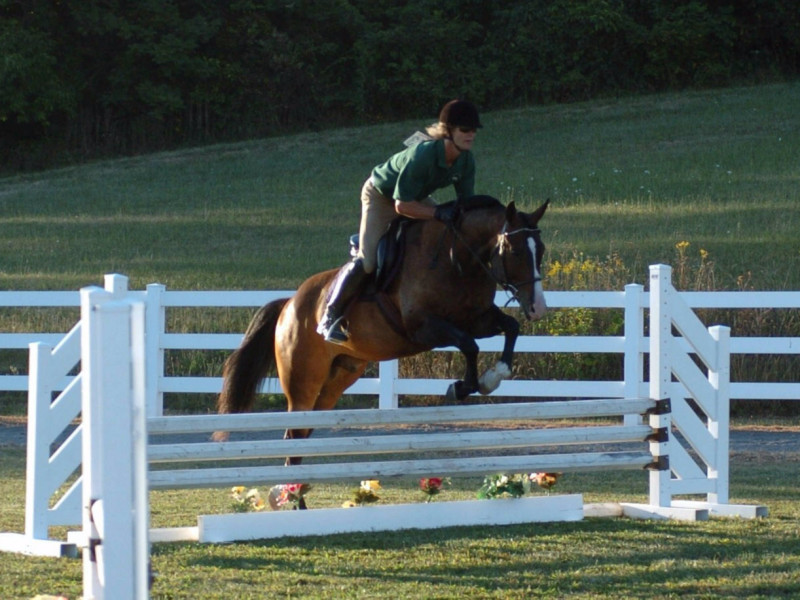 Westfield Equestrian Farm LLC, Horseback Owner Riding Lessons School Dillsburg PA