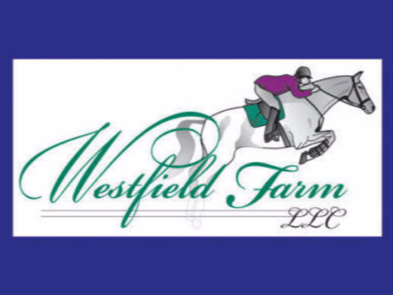 Westfield Equestrian Farm LLC, Horseback Owner Riding Lessons School Dillsburg PA